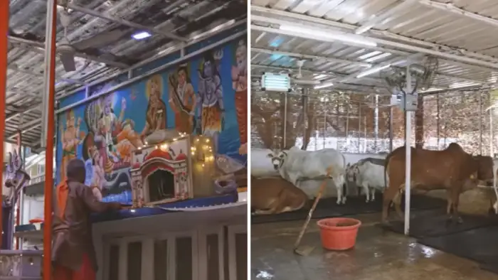 Mp Cm House 16 Inside Photos And Video,'मध्यप्रदेश का सबसे खूबसूरत घर ...