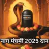 Nag Panchami Daan : नाग पंचमी पर इन चीजों का करें दान, कंगाली होगी दूर ...