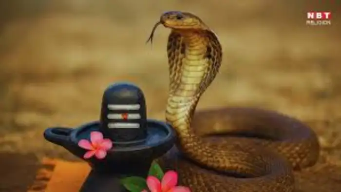 Nag Panchami 2025 : नागपंचमी पर नागों के रहस्य, पुराण से जानें कब और ...