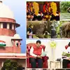 महादेवी हथिनी न्यूज,क्या नंदनी मठ लौटेगी हथिनी महादेवी? मुंबई में सीएम ...