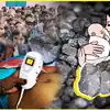Study Finds widespread lead poisoning among children and pregnant women ...