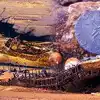 Namibia Desert Shipwreck Treasure India,पुर्तगाल से अरबों का खजाना भारत ...