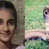 Snake Bite Death: मां के साथ खेत में काम करवाने गई 14 साल की बच्ची को ...