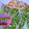 Tulsi Vivah 2025 Vidhi And Puja Samagri : तुलसी विवाह संपूर्ण विधि और ...