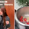Sheera Recipe For Glowing Skin,गाजर के हलवे में 1 घंटा कर रहे बर्बाद ...