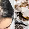 Alum Benefits For Black Hair,सफेद बालों से परेशान हैं? कंटेंट क्रिएटर ...