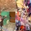 Holi Viral Videos 2026,Holi Viral Videos: ग्रेविटी को चुनौती देने से ...