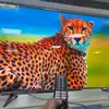 Xiaomi S Mini LED TV Review: 65 इंच के प्रीमियम टीवी में क्या खास? इसने ...