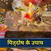 Pitru Dosh Upay : पितृ दोष के उपाय, जानें क्या कहते हैं एस्ट्रोलॉजर ...