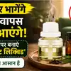 Viral Trick: मच्छर भागेंगे और वापस नहीं आएंगे! नारियल तेल और कपूर से घर ...
