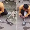 गजब! कोबरा नाग को आया हार्ट अटैक तो 'मित्र' ने दिया CPR, मुंह से सांस ...