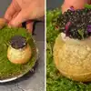 Caviar Pani Puri: डेनमार्क में सबसे महंगे आइटम के साथ दिया गोलगप्पा, 2 ...