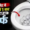 Toilet Cleaning Ice Cube Hack,Ice cube hack: टॉयलेट में हफ्ते में एक ...