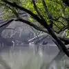 कहीं सिर कटी लाश तो कहीं चीखने की आवाजें..., भारत के 5 भूतिया जंगल ...