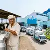 बिहार के दुग्ध उत्पादक पशुपालकों के लिए अच्छी खबर, सुधा डेयरी ने दूध ...