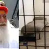 Asaram Bapu Surrender: किस बैरक में रहेंगे आसाराम? किया सरेंडर एम्स से ...