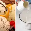 Vinita's Kitchen Secret Tips For Making Soft Milk Ice Cream,घर पर बनी ...