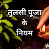 Tulsi Puja Ke Niyam : तुलसी पूजा के दौरान न करें ये 5 गलतियां, लक्ष्मी ...