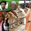 गौमाता का मुद्दा: विपक्ष के हथियार से ही उस पर वार करने के लिए तैयार ...