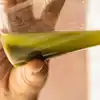 गर्मी में शरीर को ठंडक देंगे 5 आयुर्वेदिक शरबत, एसिडिटी-जलन में भी ...