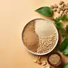 Plant-Based Protein Powder: बॉडी के लिए प्लांट बेस्ड प्रोटीन पाउडर है ...