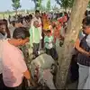 श्रावस्ती में गाय 7 दिन तक एक ही खेत में लगाती रही चक्कर, जानिए क्या है ...