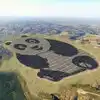 Panda Solar Plant China,चीन ने बनाया पांडा जैसा दिखने वाला एक विशाल ...