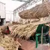 Sugar Mill,मायावती काल में हुए चीनी मिल घोटाले की जांच शुरू ...
