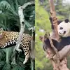 Animals Master Of Social Distancing,सेल्फ-आइसोलेशन और सोशल डिस्टेंसिंग ...