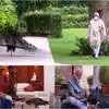 PM Narendra Modi released an unseen pics video of his lockdown time on ...