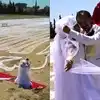 Cyprus bride wears the longest veil During wedding See viral video of ...
