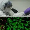 DRDO 2 DG Anti Covid Drug News: Corona's New Drug 2-DG Is The ...