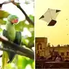 Parrot Killed By A Manja During Makar Sankranti Viral Photo