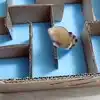 Watch Viral Video Of Hamster Impresses Desi Netizens With Jugaadu Skills