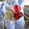 Bird Flu Outbreak: Memes Jokes Viral On Social Media People Says ...