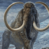 Woolly Mammoth Revival: Arctic Permafrost Wooly Mammoth De Extinction ...