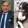 ratan tata love for stray dogs, ratan tata love for his pet dog goa- तन ...