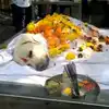 Simba Dog Funeral,3 गन सैल्यूट के साथ दी गई सिम्बा को अंतिम विदाई ...