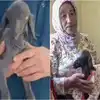Hairless Mutant Goat Born In Turkey,तुर्की में पैदा हुआ अजीब सा दिखने ...