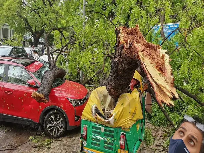 कई जगह गाड़ियों पर गिरे पेड़