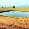 rajasthan farm pond scheme: राजस्थान के किसानों को सिंचाई की समस्या से ...