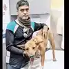 Dog lovers vs Anti Dog lovers: Harassed by neighbours Ahmedabad man ...