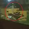 Varanasi Ghost Video: In Varanasi a white Ghost like figure captured in ...