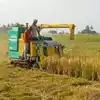 up yogi adityanath govt started paddy purchase on msp- शुरू हुई नए MSP ...