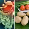 Common Foods That Can Be Toxic | Vegetables That Can Cause Food ...