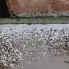 madhya pradesh bhari barish aur ola vrishti ki chetawani: मध्यप्रदेश ...