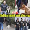 Startup India: समय पर डॉक्टर नहीं मिले तो खो दिया जूनो को, बना डाला डॉग ...
