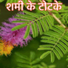 Shami Ke Ped Ke Upay, Totke: शमी के पेड़ के ये अचूक उपाय, धन में करेंगे ...