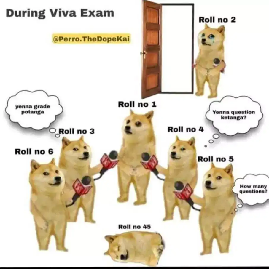 Viral 'bonk' Meme Dog Cheems Balltze Dies At 12 After, 45% OFF