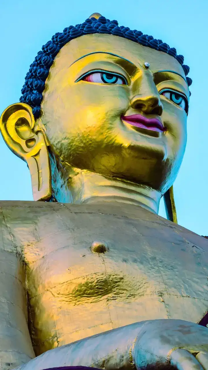 Krishna Nookala's Instagram, Twitter & Facebook on IDCrawl
